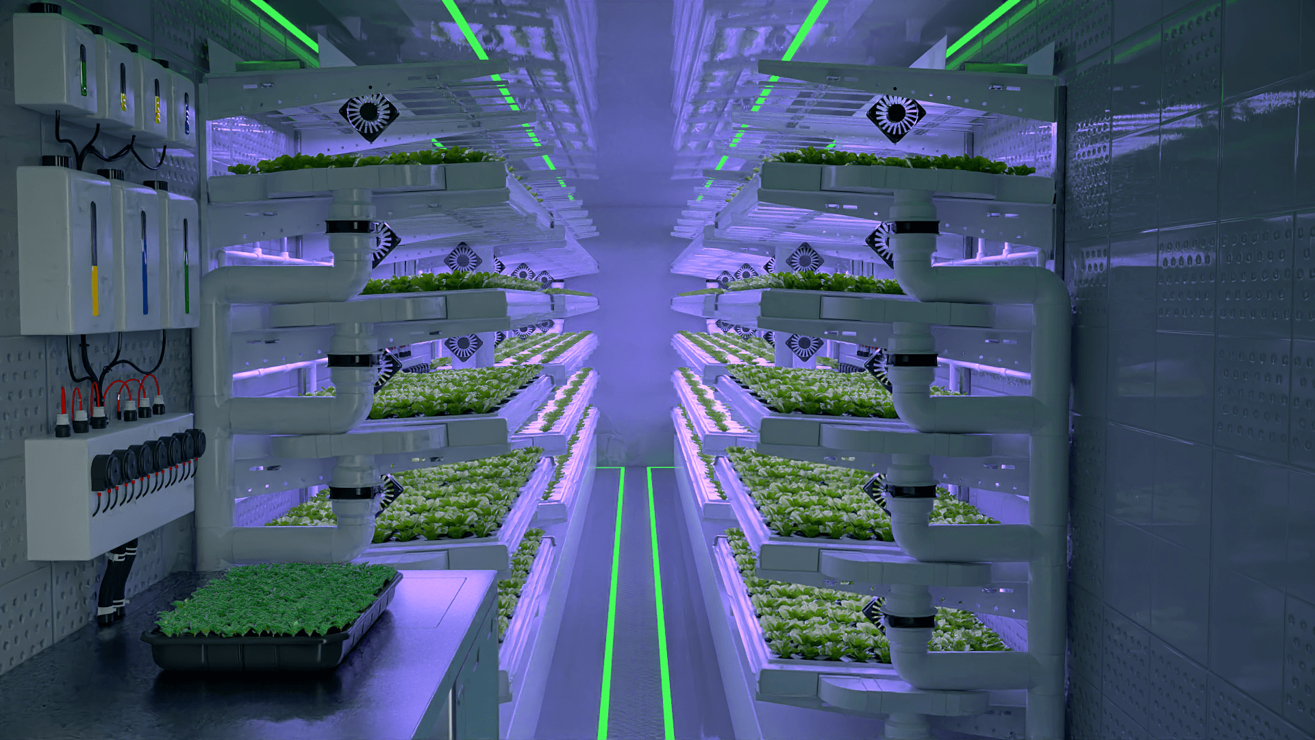 Smart Oasis Life – Water-Idependent Controlled Agriculture